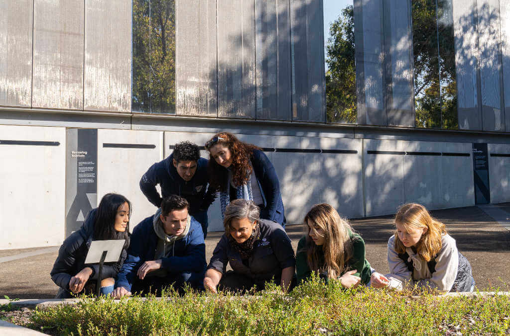 Plant Scientists | Botanic Gardens of Sydney