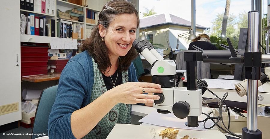 Lesley Elkan | Botanic Gardens of Sydney