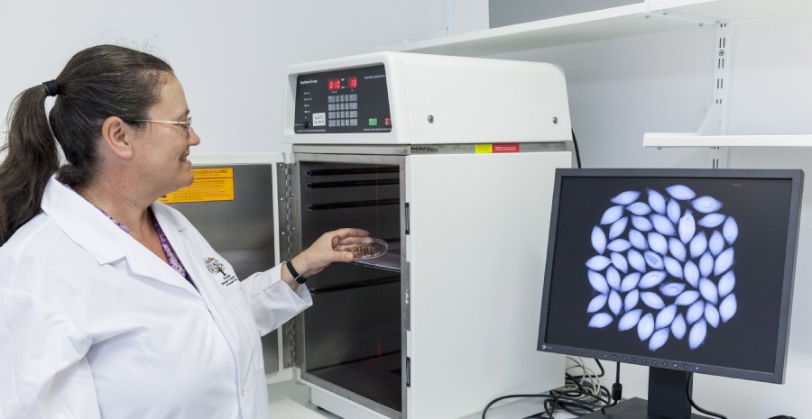 Lotte von Richter | Botanic Gardens of Sydney