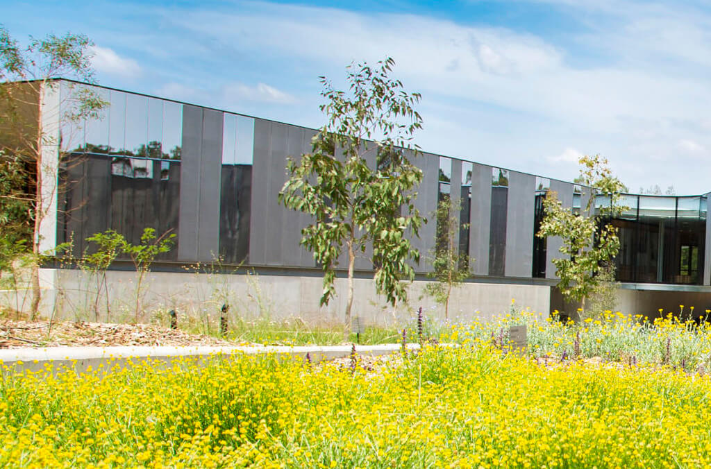 Nathan Emery | Botanic Gardens of Sydney