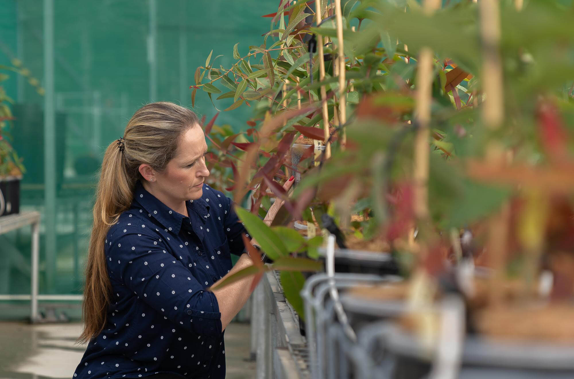 Zoe-Joy Newby | Botanic Gardens of Sydney