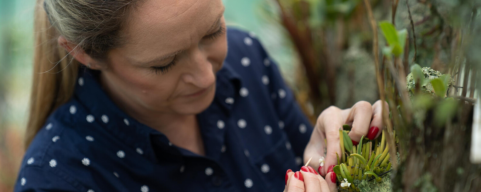 Zoe-Joy Newby | Botanic Gardens of Sydney