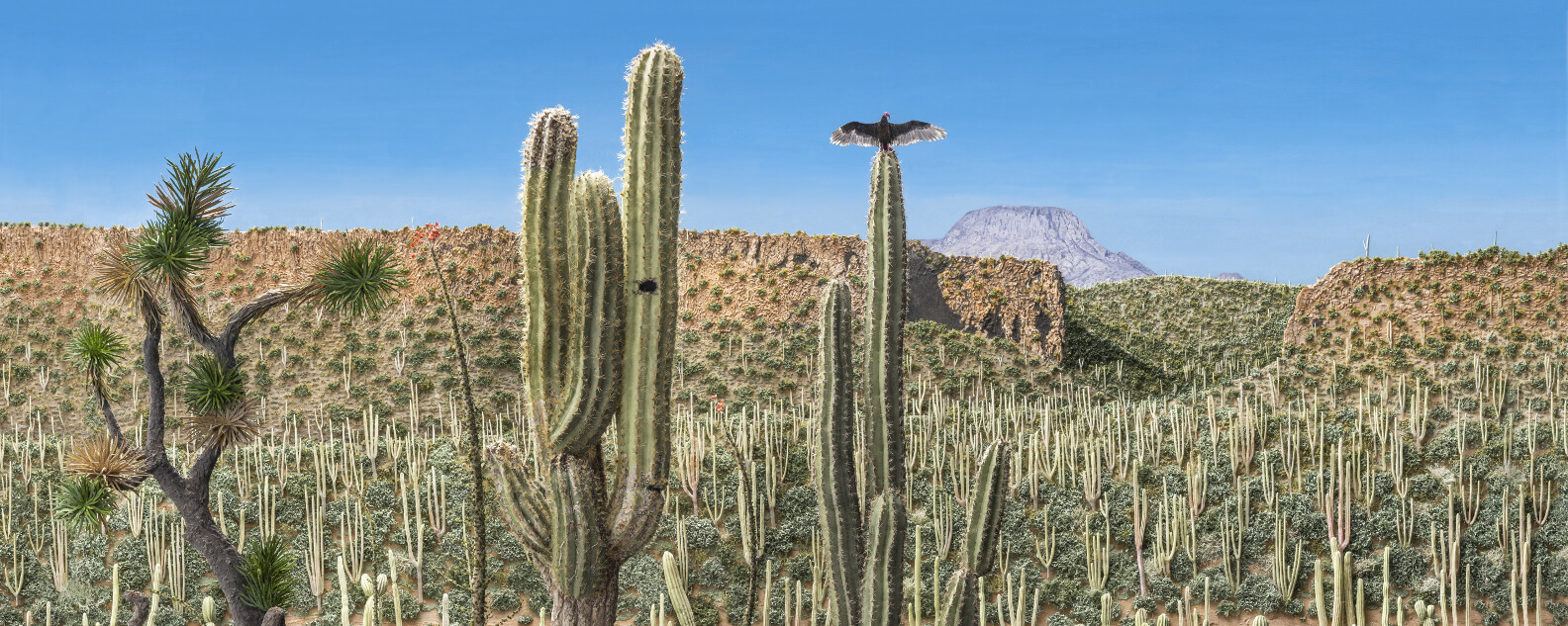 Art in the Garden | Botanic Gardens of Sydney