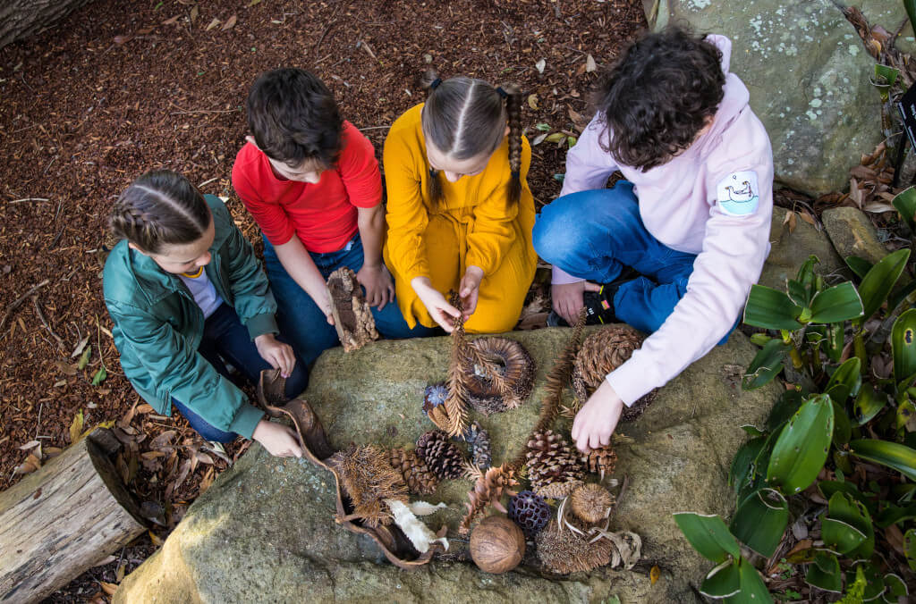 Vacation Care | Botanic Gardens of Sydney