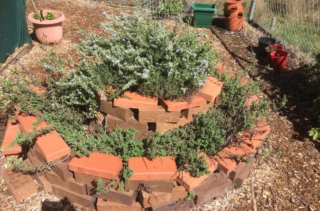 Building a Herb Spiral | Botanic Gardens of Sydney