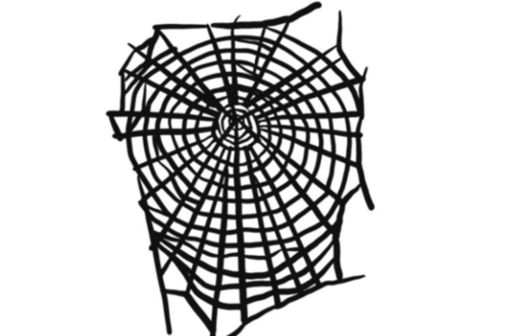 Spiders 8 | Botanic Gardens of Sydney