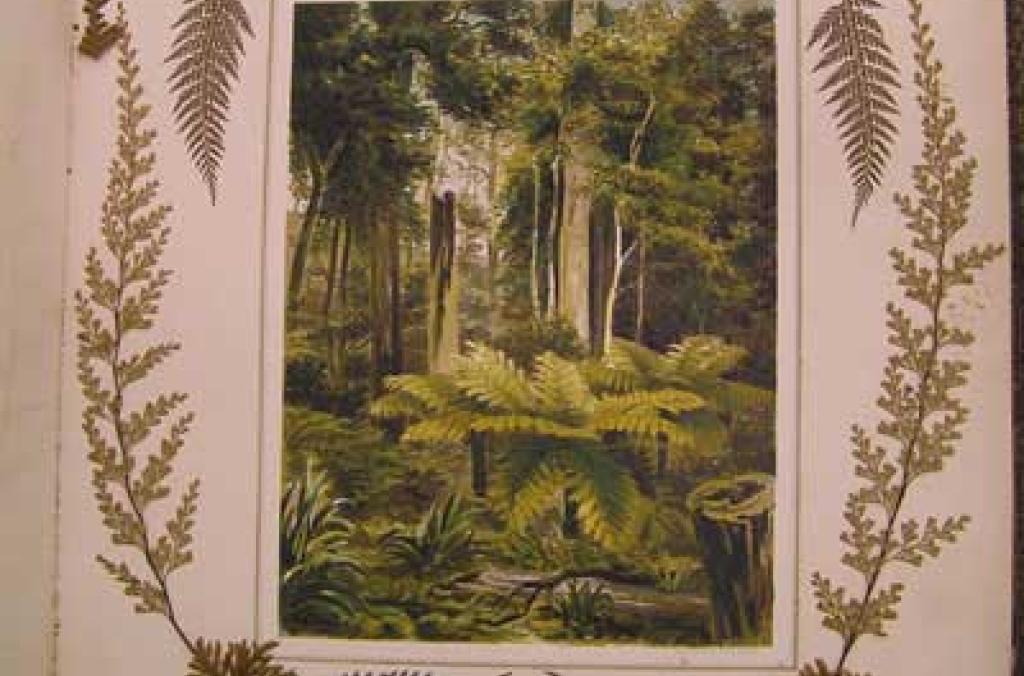 Why does a garden need a library? | Botanic Gardens of Sydney