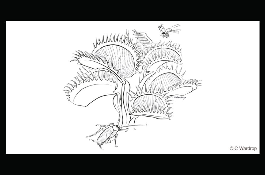 Types of traps | Botanic Gardens of Sydney