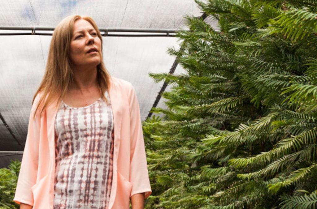 Conservation of the Wollemi Pine | Botanic Gardens of Sydney