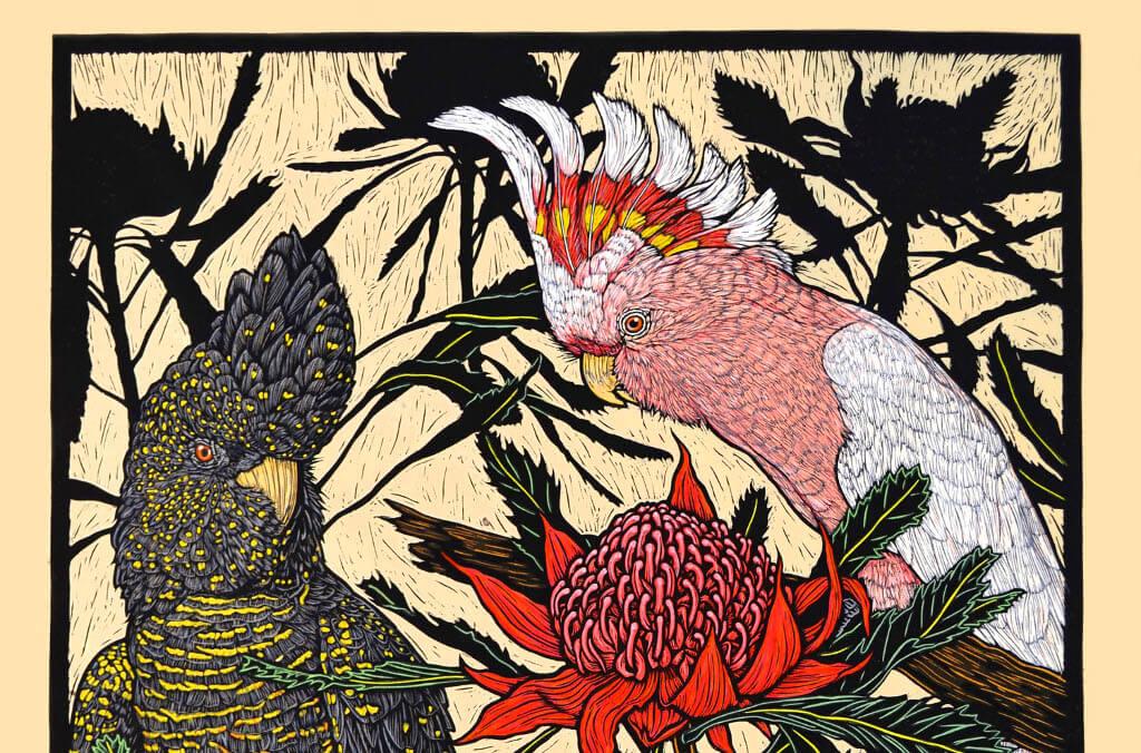 Wild about Waratahs | Botanic Gardens of Sydney