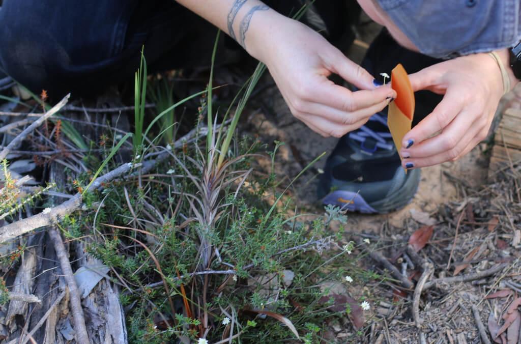 Ensuring research informs best-practice conservation and restoration ...