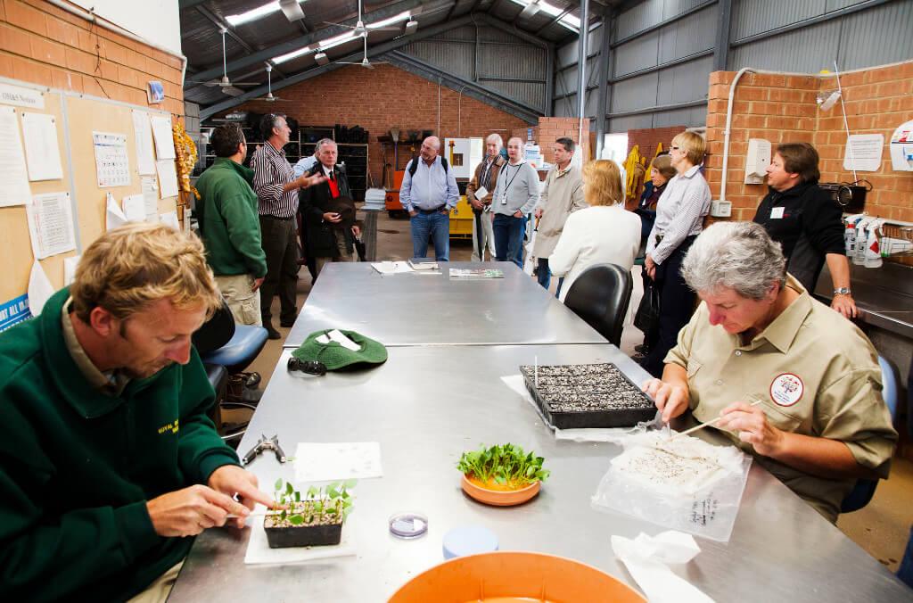 A decade of saving species at Australia’s biggest plantbank | Botanic ...