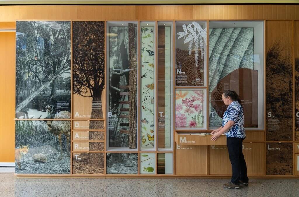 Lotte von Richter | Botanic Gardens of Sydney