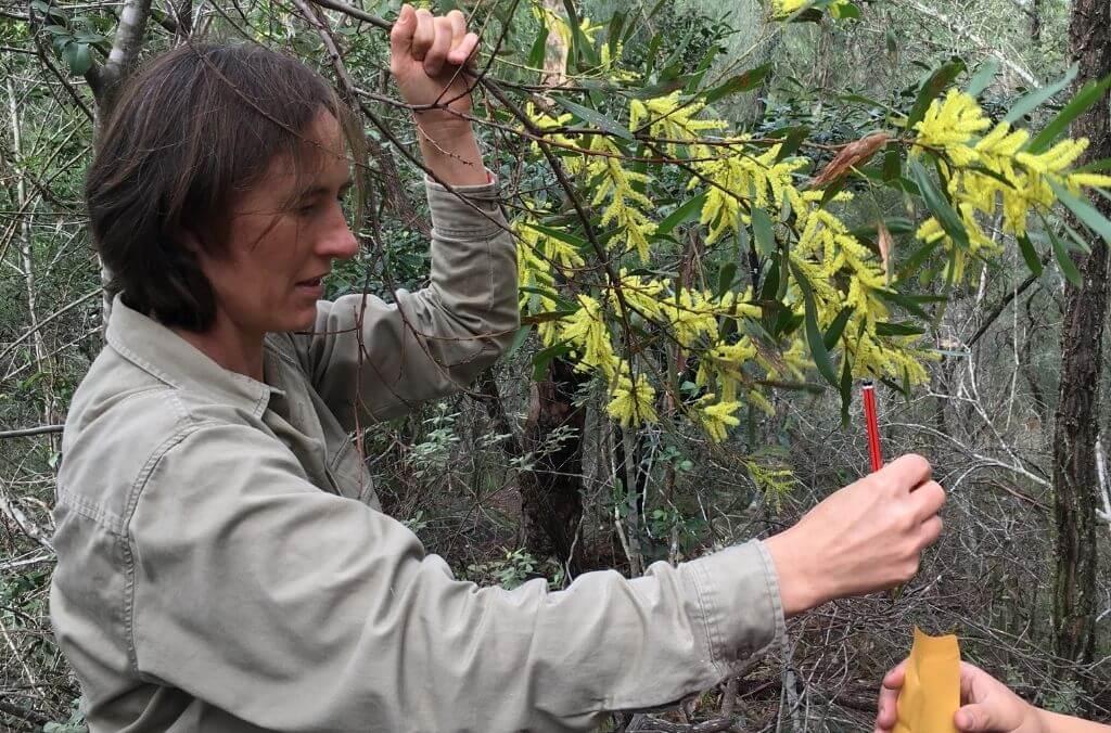 Marlien van der Merwe | Botanic Gardens of Sydney