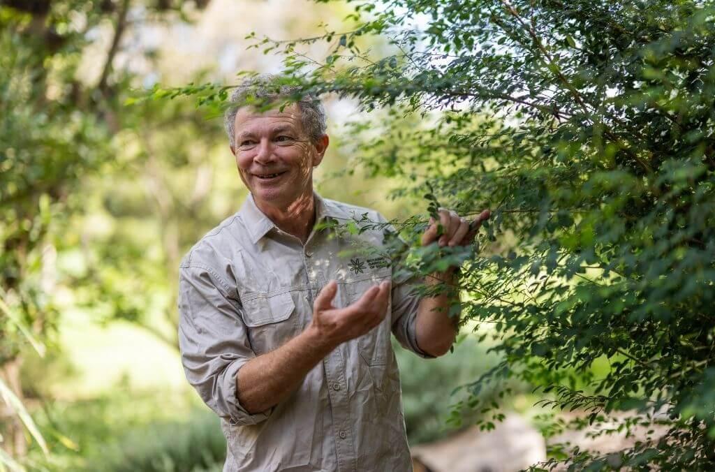 Paul Nicholson | Botanic Gardens of Sydney