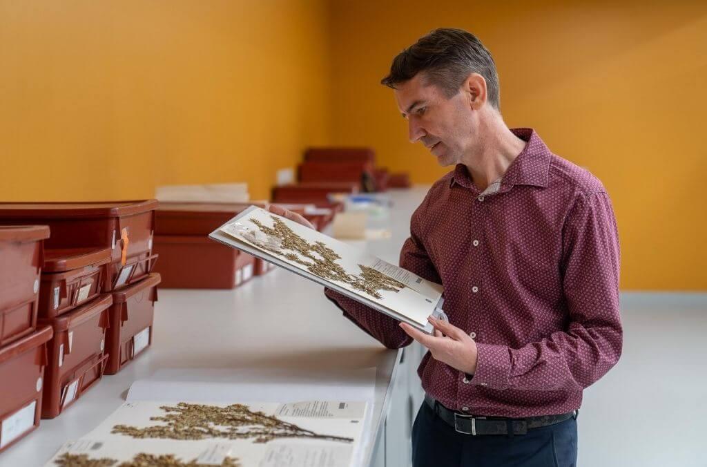 Russell Barrett | Botanic Gardens of Sydney