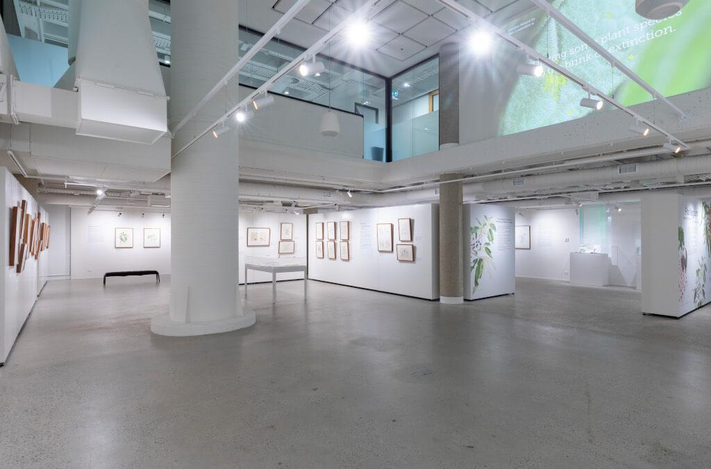 The Garden Gallery | Botanic Gardens of Sydney