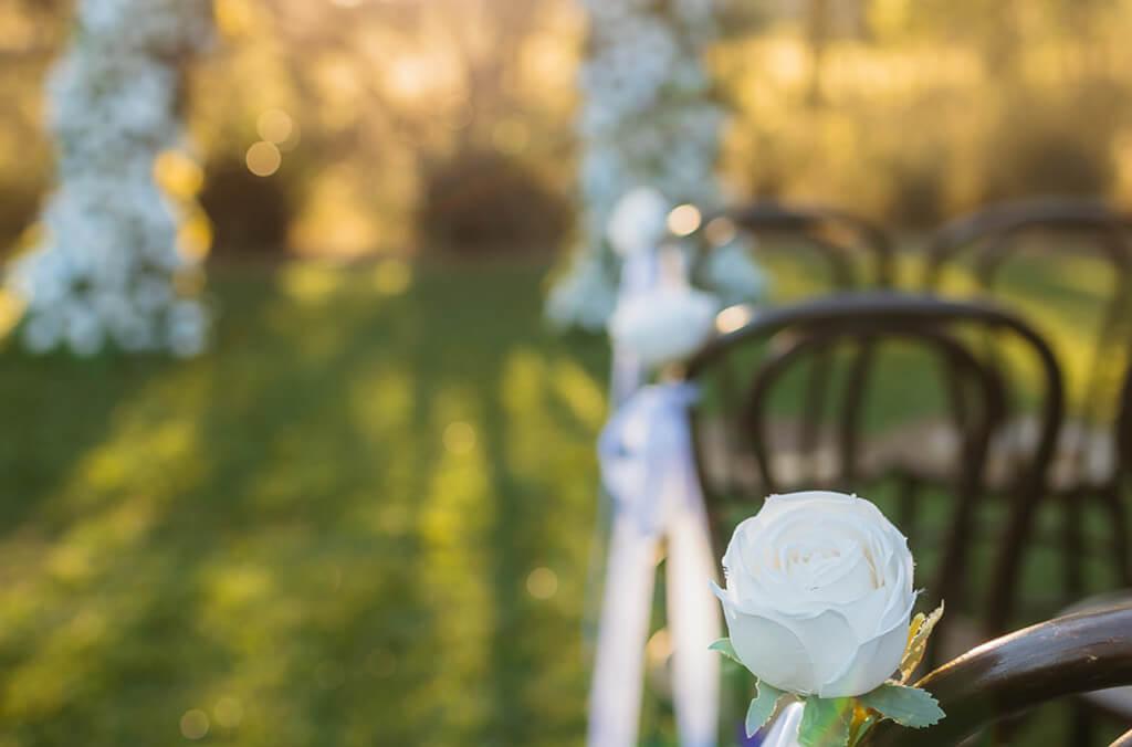 The Island at Wattle Garden | Botanic Gardens of Sydney